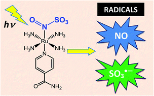 Light-activated generation of nitric oxide (NO) and sulfite anion ...