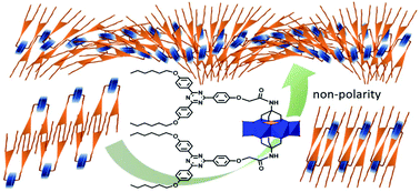 From achiral to helical bilayer self-assemblies of a 1,3,5-triazine-2,4 ...