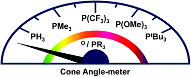 Computational assessment on the Tolman cone angles for P-ligands ...