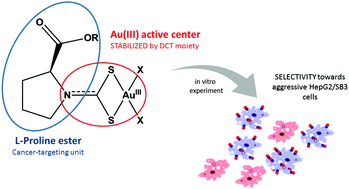 Au(iii)-Proline derivatives exhibiting selective antiproliferative ...