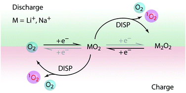 Singlet oxygen from cation driven superoxide disproportionation and ...