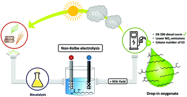 Electrochemical conversion of a bio-derivable hydroxy acid to a drop-in ...