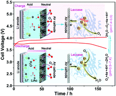 Superior efficient rechargeable lithium–air batteries using a ...
