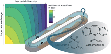 Using recirculating flumes and a response surface model to investigate ...
