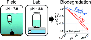 A simple field-based biodegradation test shows pH to be an inadequately ...