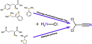 Halogenated semivolatile acetonitriles as chloramination disinfection ...