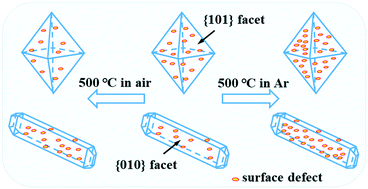 Facet-dependent evolution of surface defects in anatase TiO2 by thermal ...