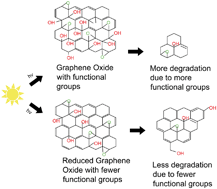 Influence of functional groups on the degradation of graphene oxide ...