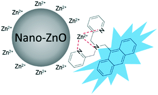 Dissolution kinetics of zinc oxide nanoparticles: real-time monitoring ...