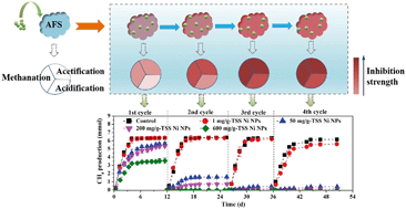 Insights into short- and long-term effects of loading nickel ...