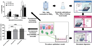 Co-exposure to the food additives SiO2 (E551) or TiO2 (E171) and the ...