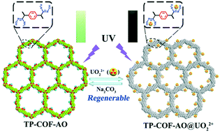 Simultaneous sensitive detection and rapid adsorption of UO22+ based on ...
