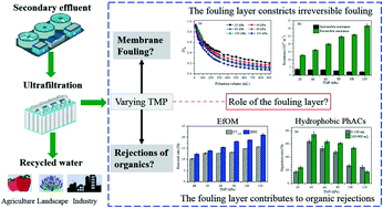 Tertiary treatment of secondary effluent using ultrafiltration for ...