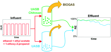 Intermittent operation of UASB reactors treating wastewater polluted ...
