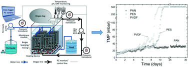 Effect of ultrafiltration membrane material on fouling dynamics in a ...