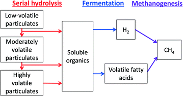 Hydrolysis