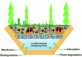 Landfill Leachate
