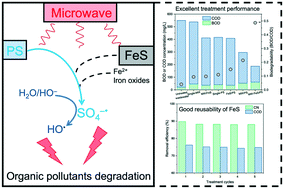 Activation of persulfate by microwave radiation combined with FeS for ...