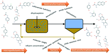 Clustering micropollutants based on initial biotransformations for improved prediction of ...