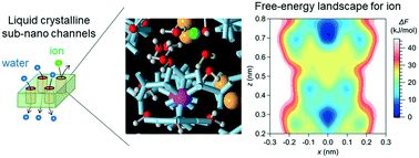 Transport mechanisms of water molecules and ions in sub-nano channels ...