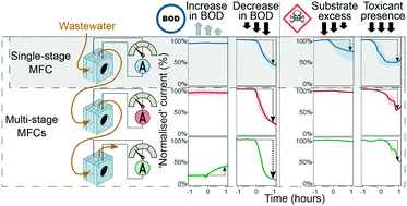 A microbial fuel cell sensor for unambiguous measurement of organic ...