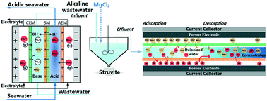 Nutrient recovery from treated wastewater by a hybrid electrochemical ...