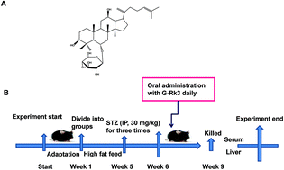 Ginsenoside Rk3 ameliorates high-fat-diet/streptozocin induced type 2 ...