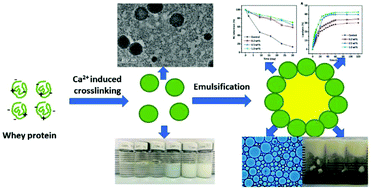 Fabrication of high internal phase Pickering emulsions with calcium ...