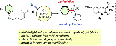 Visible-light-induced cascade radical ring-closure and pyridylation for ...