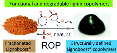 Transforming technical lignins to structurally defined star-copolymers ...
