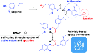 A facile strategy to achieve fully bio-based epoxy thermosets from ...