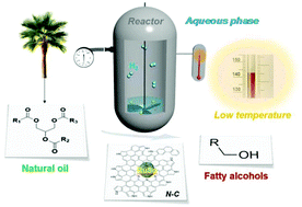 Highly selective and low-temperature hydrothermal conversion of natural ...