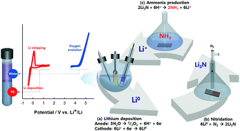 Lithium-mediated ammonia synthesis from water and nitrogen: a membrane ...