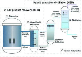 In situ product recovery of bio-based ethyl esters via hybrid ...