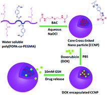 A copper-free click reaction for the synthesis of redox-responsive ...