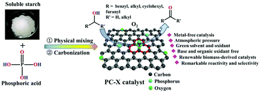 Biomass-derived phosphorus-doped carbon materials as efficient metal-free catalysts for ...