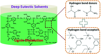 Novel deep eutectic solvents with different functional groups towards ...