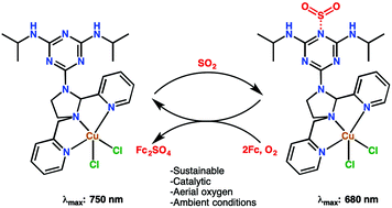 Binding enabled catalytic activation of SO2 by copper koneramine ...
