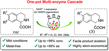 A biocatalytic redox cascade approach for one-pot deracemization of ...
