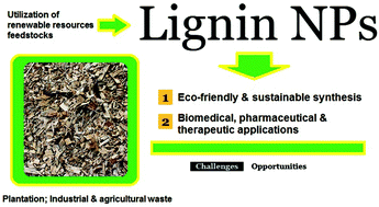 Greener synthesis of lignin nanoparticles and their applications ...