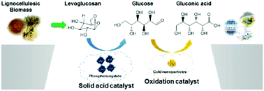 One-pot synthesis of gluconic acid from biomass-derived levoglucosan ...