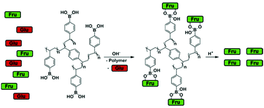 Structure-performance correlations of cross-linked boronic acid ...