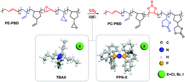 Fully bio-derived CO2 polymers for non-isocyanate based polyurethane ...