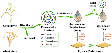 The direct transformation of bioethanol fermentation residues for ...