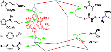 Iridium complex-linked porous organic polymers for recyclable, broad ...