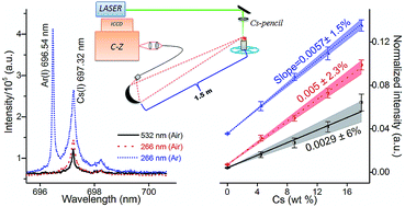 Direct quantitative analysis of a cesium pencil in a simulated hot-cell ...