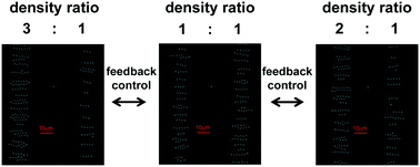 Feedback control for shaping density distributions of colloidal ...