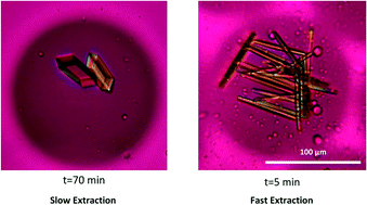 Microfluidic droplet liquid reactors for active pharmaceutical ...