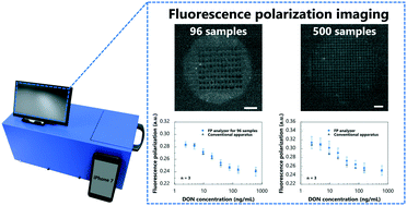 Fluorescence Polarization