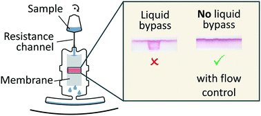 Flow control for lateral flow strips with centrifugal microfluidics ...